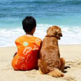 🏆Pet Shed coupons 2025: 60% Off promo codes and coupons for Pet Shed